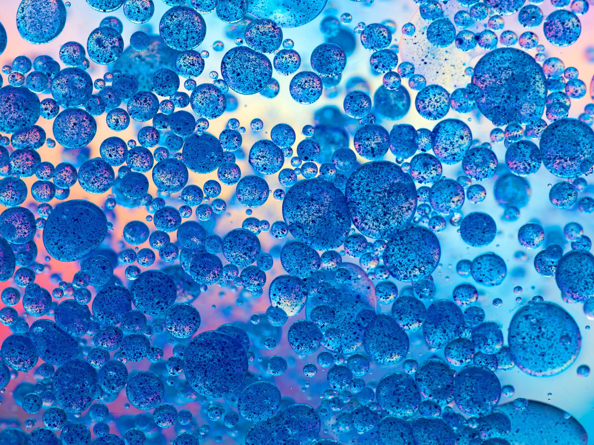 Protozoen Definition - umweltcluster-nrw